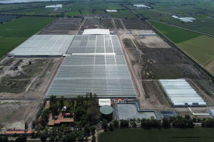 ¿QUIÉNES SOMOS? – Finka